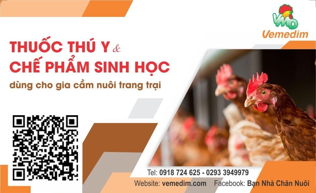 E-CATALOGUE SẢN PHẨM VEMEDIM