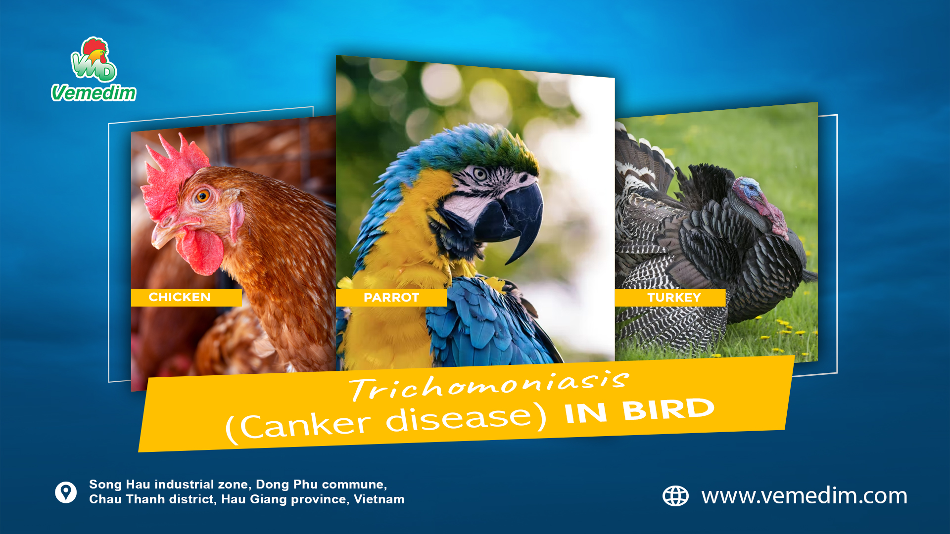 Technical information - TRICHOMONIASIS