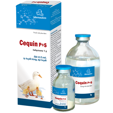 Sản phẩm Cequin P+S