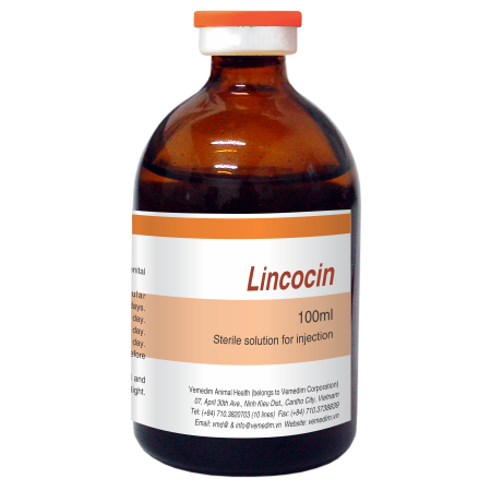 Product Lincocin