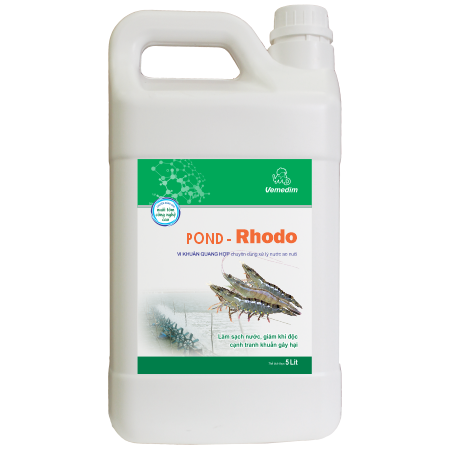 Sản phẩm Pond Rhodo