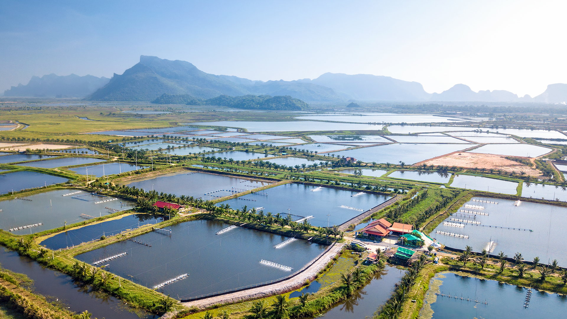 Vemedim Corporation - CÔNG TY CP SXKD VẬT TƯ VÀ THUỐC THÚ Y