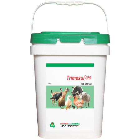 Product Trimesul 480