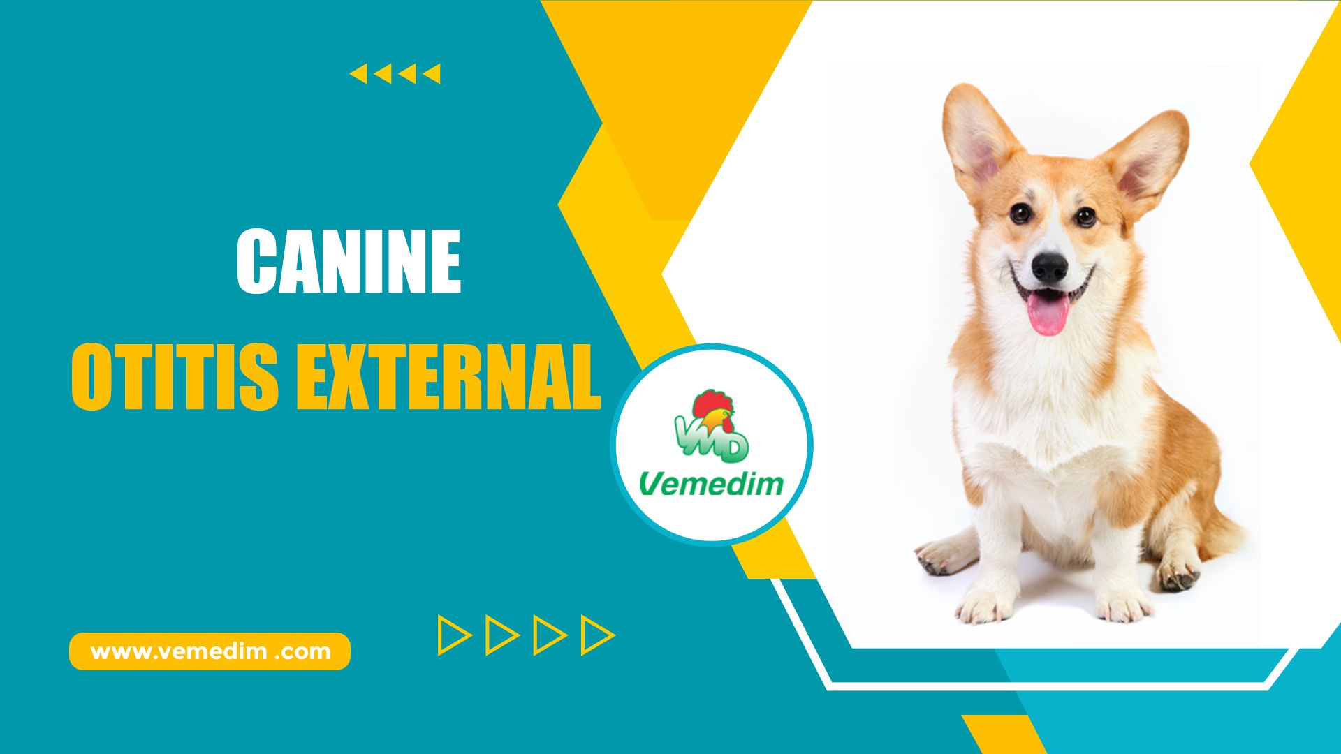 Technical information - CANINE OTITIS EXTERNA