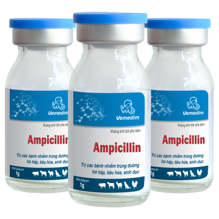 Sản phẩm Ampicillin