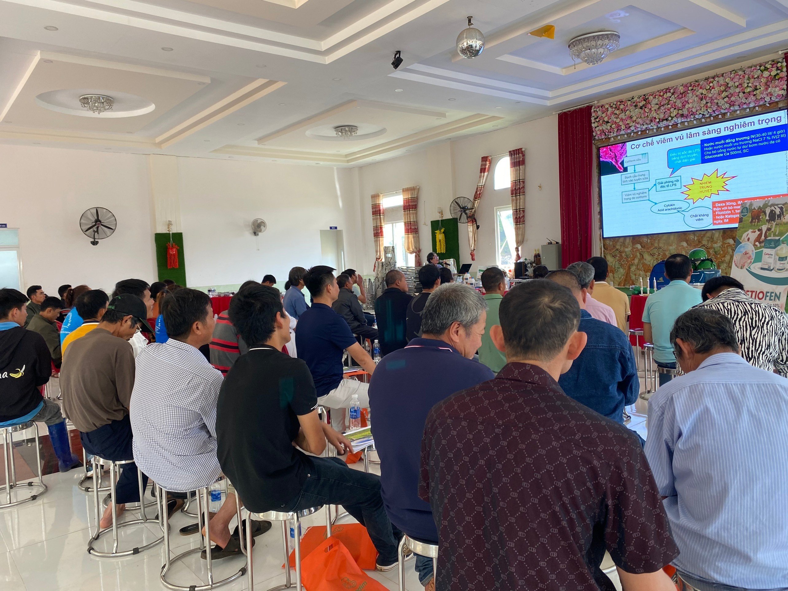 VEMEDIM KẾT HỢP CÙNG DR.BÒ TỔ CHỨC BUỔI HỘI THẢO TẠI TỈNH LÂM ĐỒNG