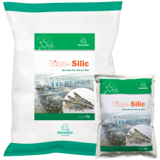 Tìm hiểu về cấu trúc và tính chất của silic trong hóa học