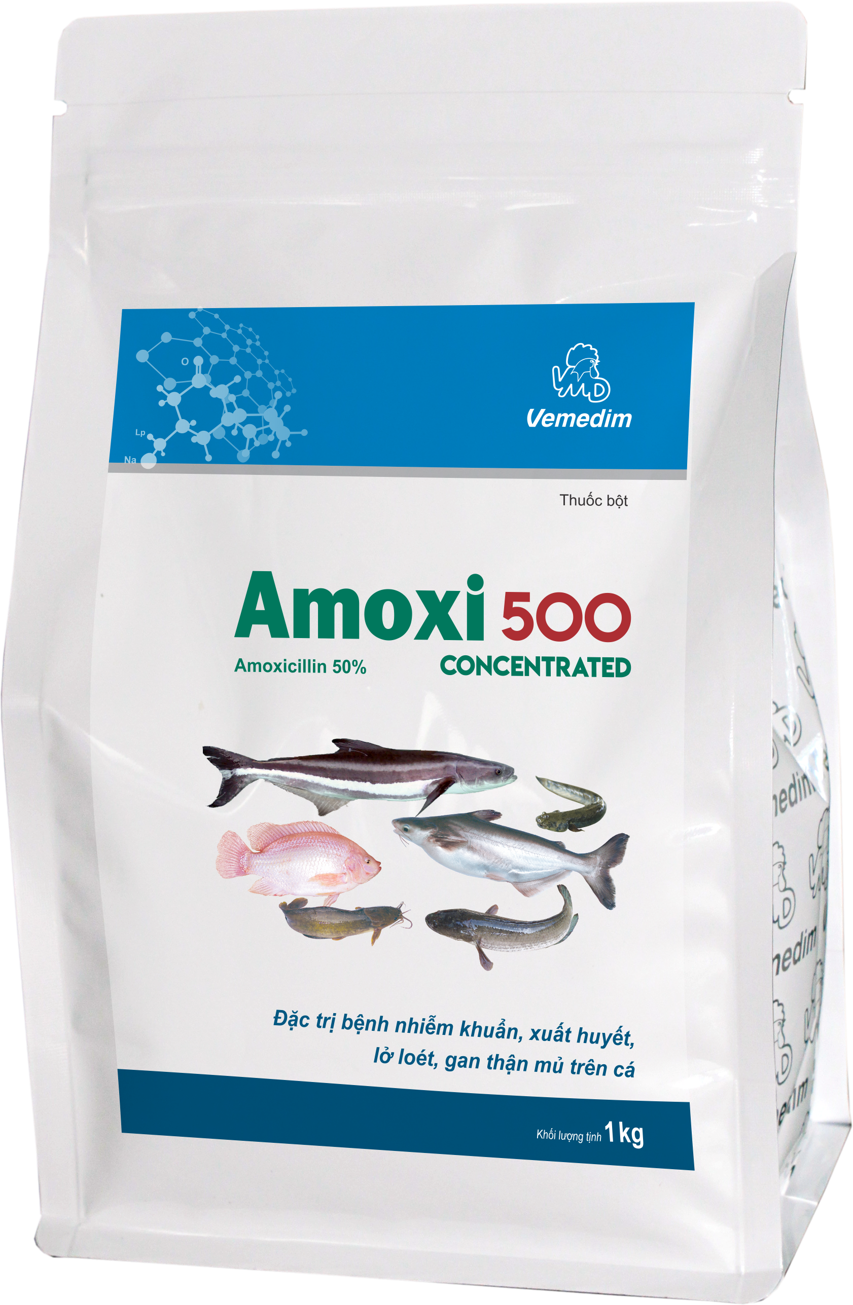 Product Amoxi 500 concentrated